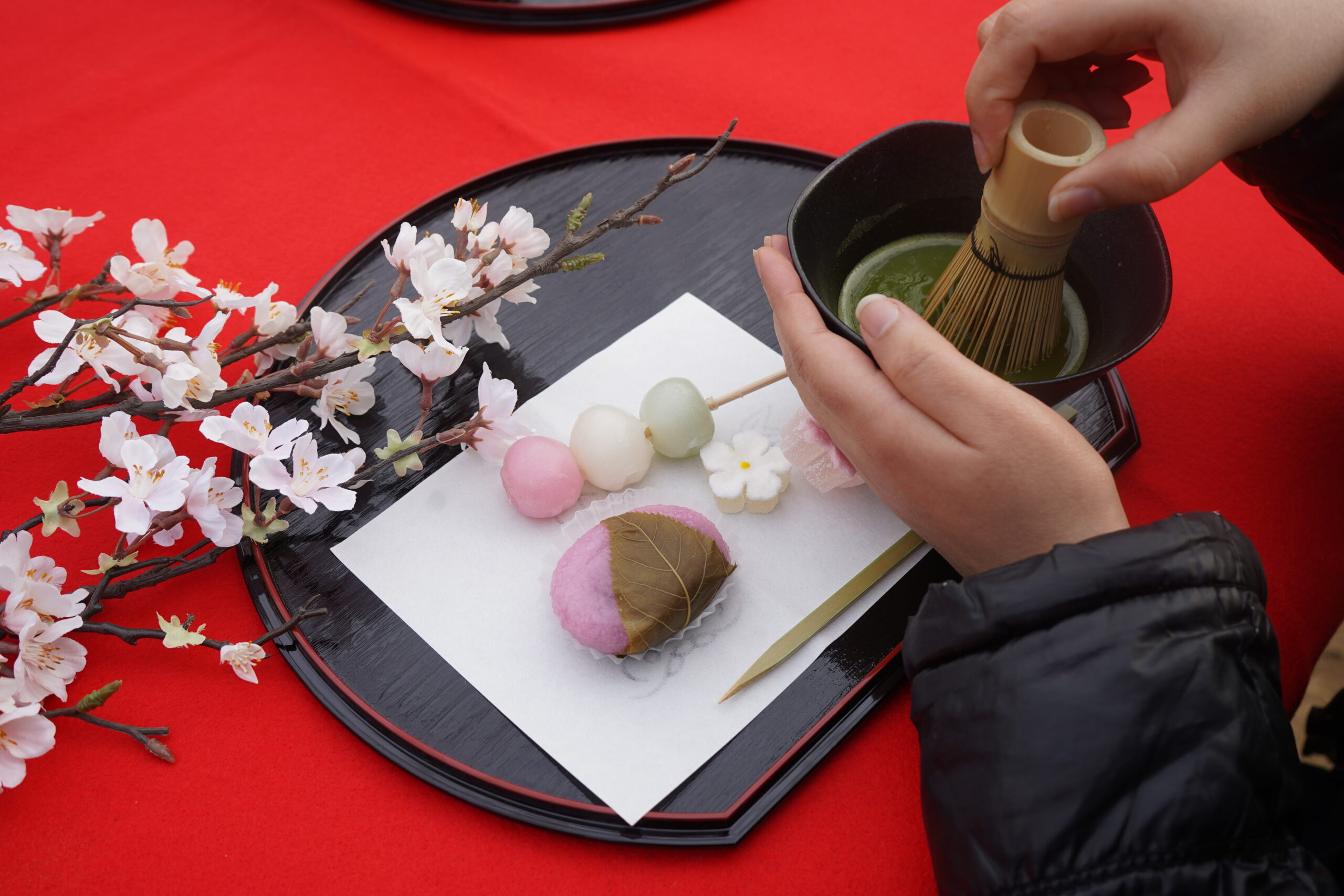 Sakura Matcha Picnic Plan - Legit Japan